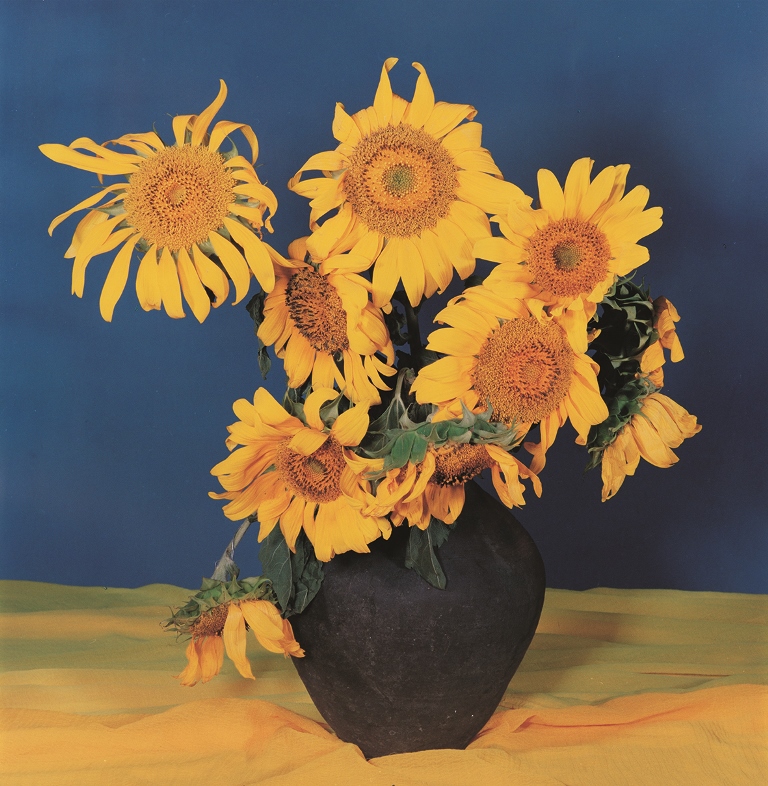 Iran; My Beloved Flower – Maryam Zandi