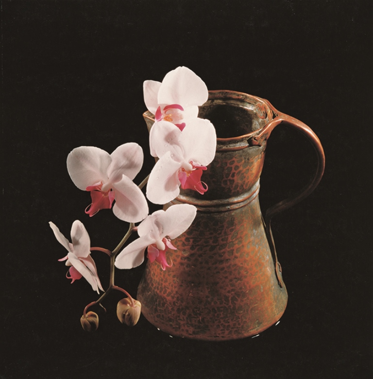 Iran; My Beloved Flower – Maryam Zandi