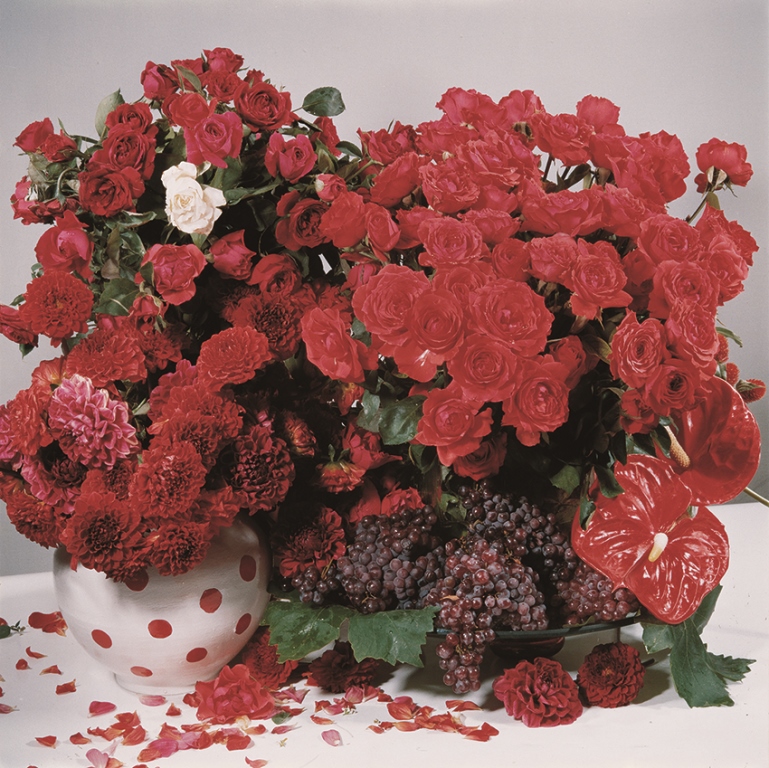 Iran; My Beloved Flower – Maryam Zandi