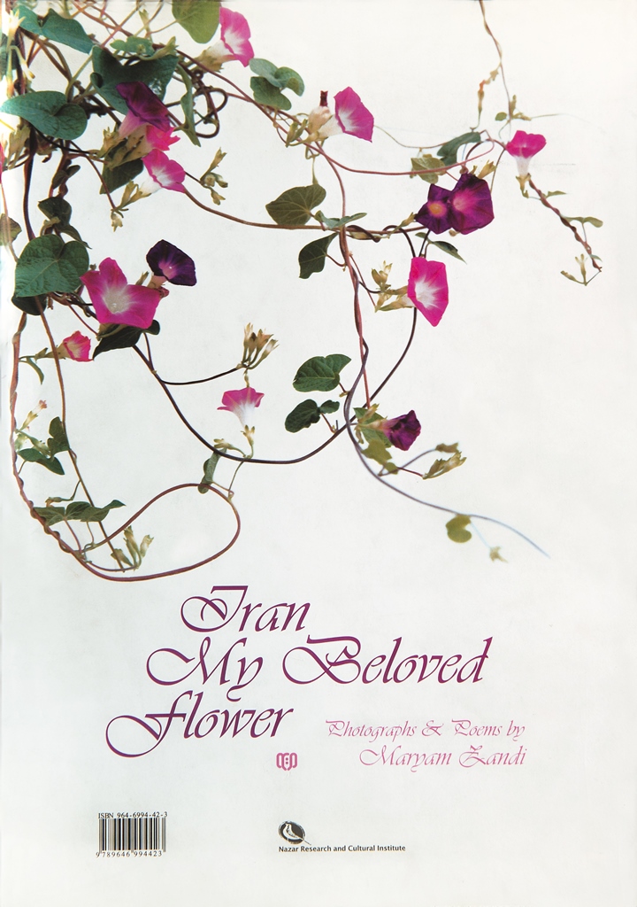 Iran; My Beloved Flower – Maryam Zandi